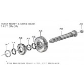 RTLO14713A-3 Input Shaft & Drive Gear.JPG