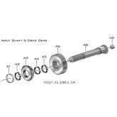 RTLO16913L-DM3 Input Shaft & Drive Gear.JPG